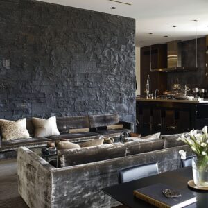Modern Luxury Living Room Ideas with Stone Wall Accents